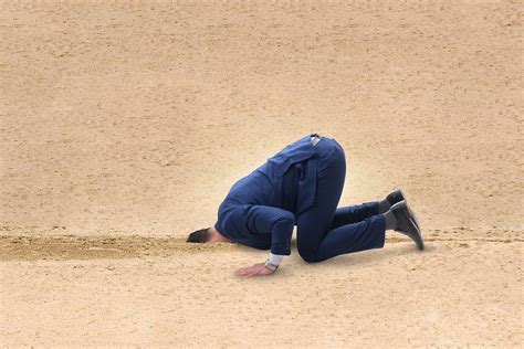 Luís Caires On Linkedin Dont Look Up The Ai Edition