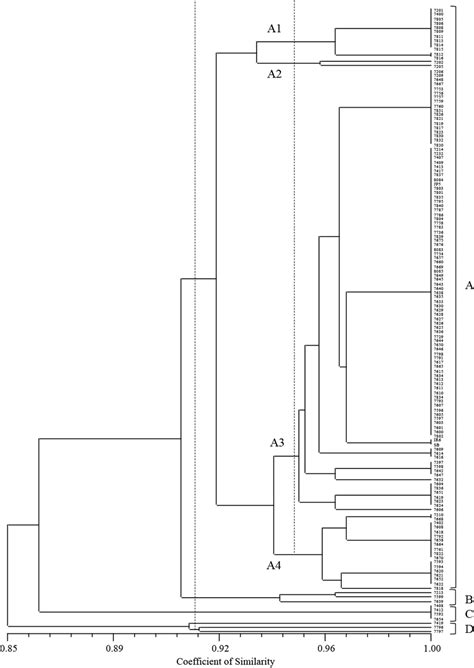 Dendrogram Showing Relationship Of 116 Rice Accessions From Northern