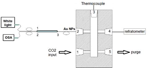 Setup Used For The Co 2 Sensing Experiment Download Scientific Diagram