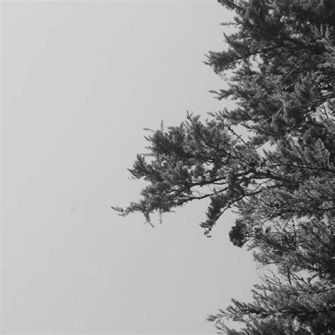 Overview Effects 01 Overvieweffect