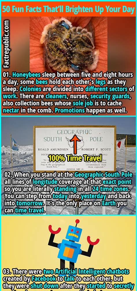 50 Fun Facts That Ll Brighten Up Your Day Artofit