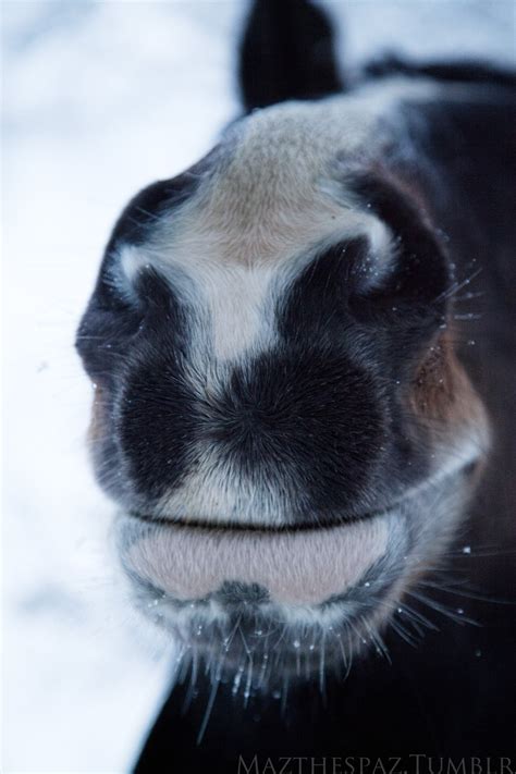 Michelle 💁 On Tumblr