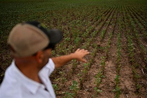 La Sequía Sigue Salpicando A La Actividad Económica Que En Junio