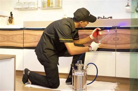 Cockroaches Pest Control Service At Rs 2square Feet In New Delhi