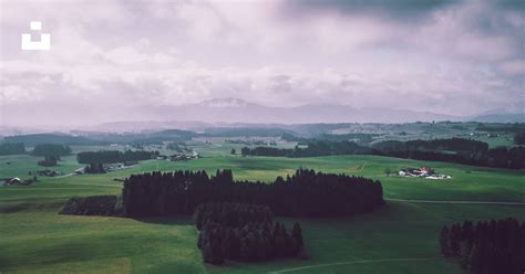 Aerial Photography Of Trees On Grass Field At Daytime Photo Free Wald