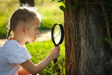 8 Ways To Sharpen Your Geoscience Knowledge As An Adult This Earth