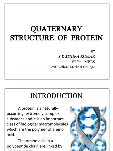 Quaternary Protein Structure Guide Pdf Hemoglobin Proteins