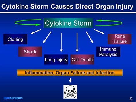 Cyto Sorbents 22 Shock Clotting Cytokine Storm Causes Direct Organ