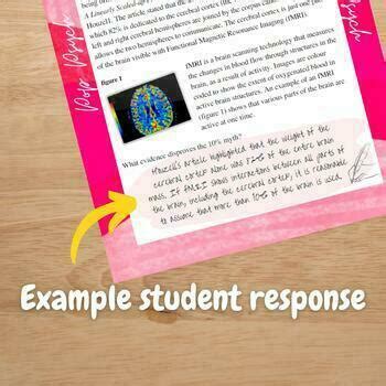 10 Brain Function Myth Pop Psychology Lesson Worksheets By Psyched For