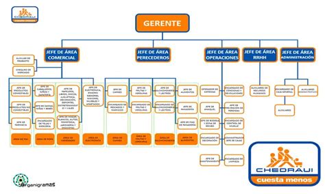 Organigrama De Apple Estructura Actualizada Y Optimizada