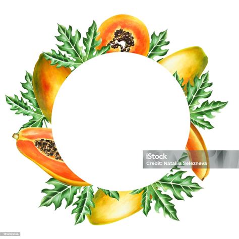 마커 프레임 로고 및 수채화 스타일의 곡물과 함께 달콤한 잘 익은 파파야 조각이 있는 템플릿 손으로 그린 사실적인 맛있는 유기