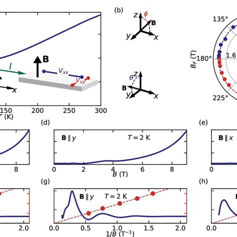 A Temperature Dependence Of Longitudinal Download Scientific Diagram