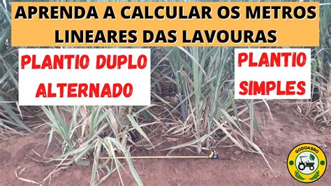 Como Calcular Os Metros Lineares Das Lavouras Plantio Duplo Alternado