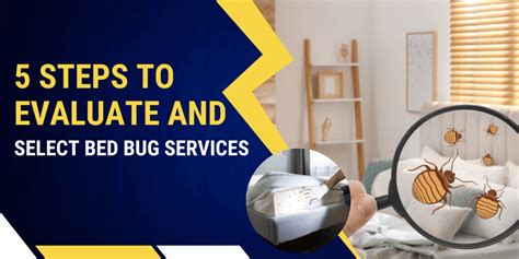 5 steps to evaluate and select bed bug services find the home pros