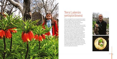 Geka Kurumsal Kimlik Tasar M Kapsam Nda Ters Lale Katalogu Tasar M Bas M Sadece T Rkiyede