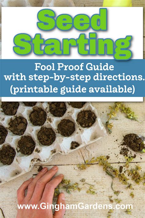 Seed Starting Indoors The Complete Guide Artofit