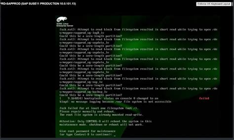 Multiple Error Messages Failed Filesystem Mounting Issue Sles Sap