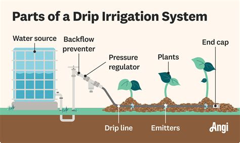 What Is A Drip Irrigation System And How Does It Work Angi