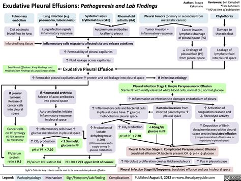 Pleural Effusion Pathophysiology