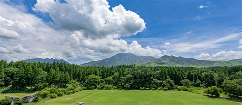 【熊本・阿蘇】大自然の中で育った美味しい桃の収穫体験♪ （桃狩り3個） アクティビティジャパン