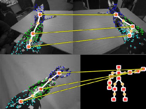 Examples Of The Kinematic Structure Correspondences Which The Icub Has