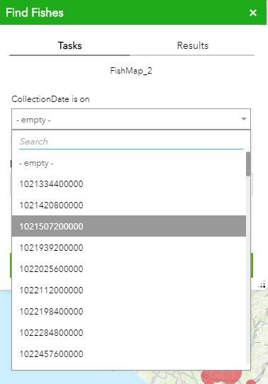 Wrong Date Format In Arcgis Online Map Application Esri Community
