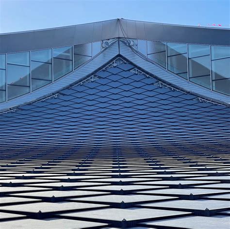 Mycelium Is Part Of The Solution To Carbon Negative Buildings