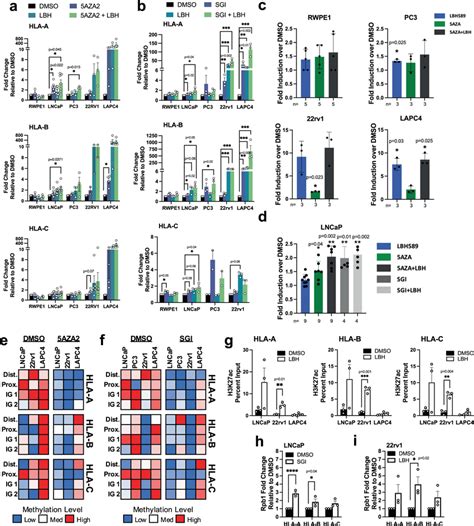 Pharmacological Inhibition Of Dnmts And Hdacs Induces Hla I Gene And