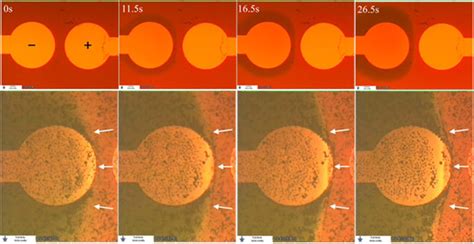 Top The Temporal Spatial Evolution Left To Right Of Two Ph Zones In