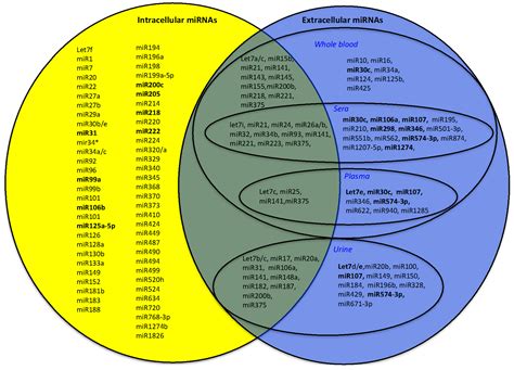 Ijms Free Full Text Micrornas As Biomarkers For Diagnosis