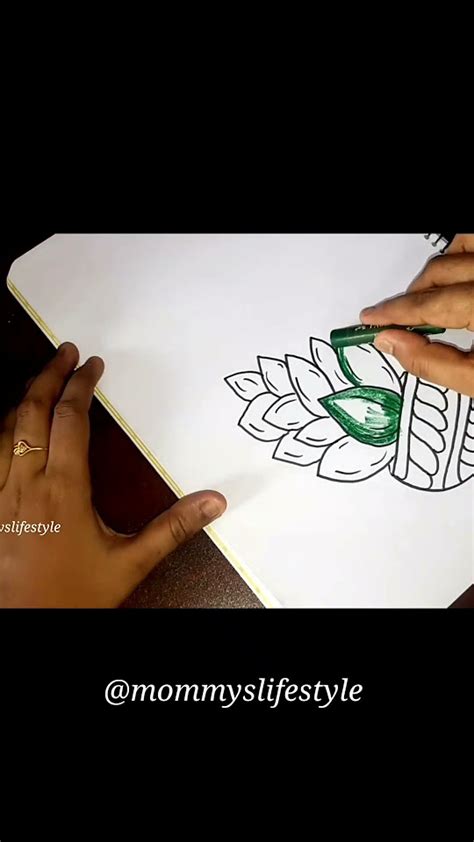 How To Draw A Plant Plant Drawing Tutorial Drawing Shorts Plants