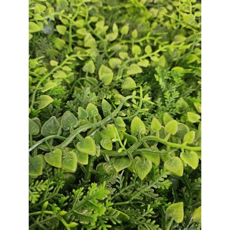 Siepe Artificiale Felce Light Green 100x50cm