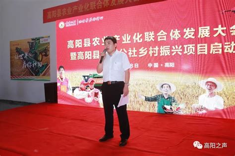 “金丰公社”助力高阳农业产业化“强筋壮骨” 高阳县人民政府网站