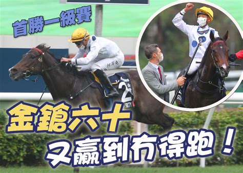 【香港一哩錦標】又行返嚟贏！金鎗六十超級11連勝！