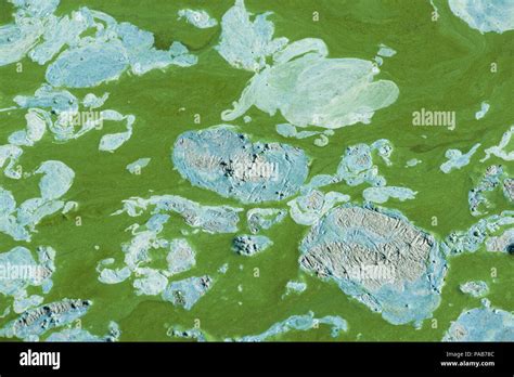 Inquinamento Chimico Immagini E Fotografie Stock Ad Alta Risoluzione