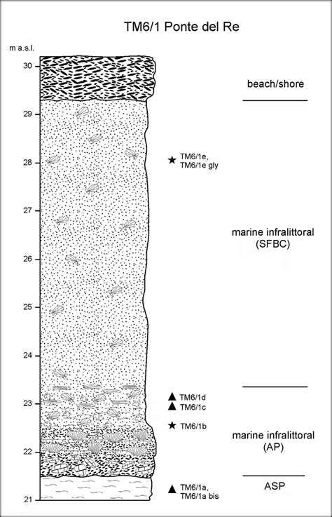 Stratigraphic Column Of The Tm6 1 Site At The Ponte Del Re Locality