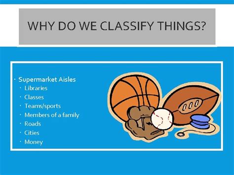 Classification Of Living Things Why Do We Classify