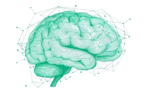 Digital illustration of a brain with green neural connections symbolizing cognitive processes ...