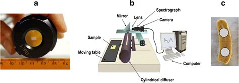 Instruments And Samples A The Handheld Micro Nir Spectrometer B The Download Scientific