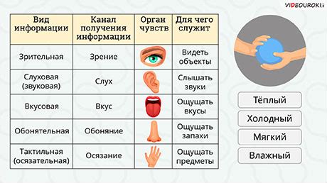 Какие виды информации по способу их получения ты знаешь 4 класс