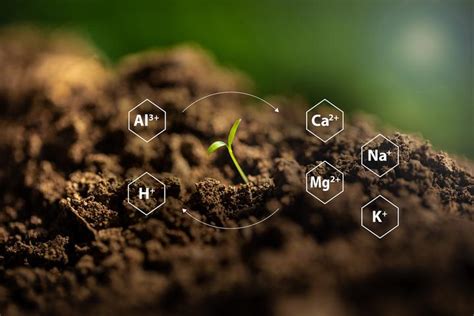 土壤中全硅铝测定方法哪种快速？ 知乎