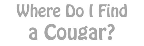 How To Have Sex With A Cougar Girls Chase