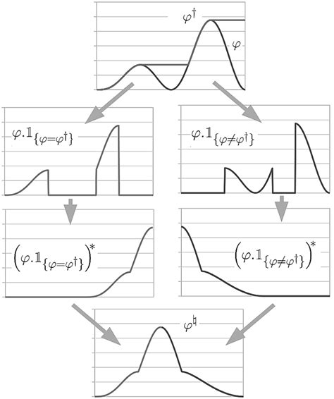 Tamping Process And Schwarz Symmetrization Download Scientific Diagram