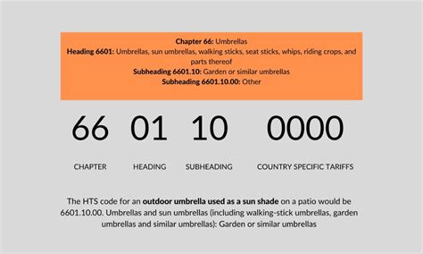 Hs Vs Hts Codes How To Find The Code You Need Sofeast