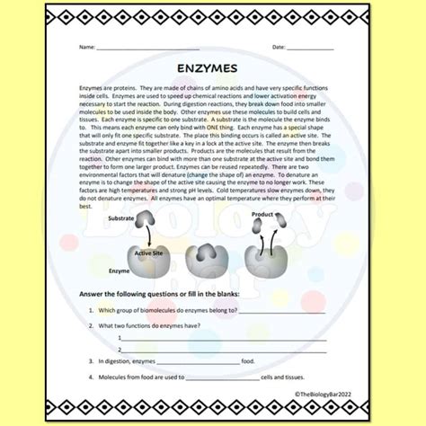 Enzyme Practice Worksheet Characteristics Functions And Environmental