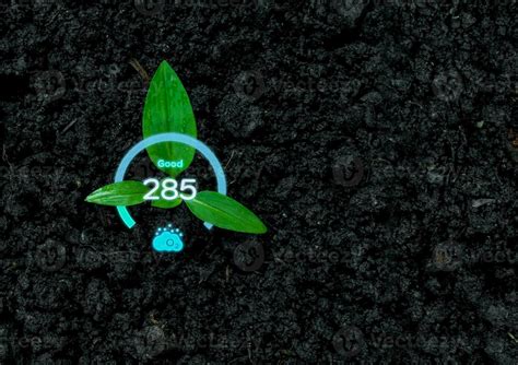 The Concept Of Increasing The Oxygen In The Air By Planting Trees Ecology O Stock