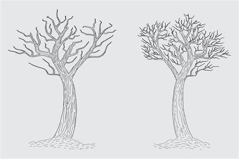 How To Draw A Tree Without Leaves