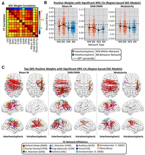 Structural Disconnections Explain Brain Network Dysfunction After Stroke Pmc