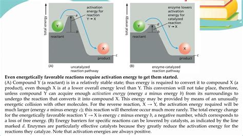 Enzymes Mediated Chemical Reactions Pptx