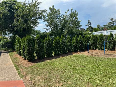 James A Dever Elementary To Open Zen Den For Student Mindfulness